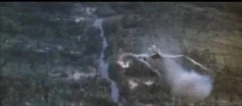 Firefox | Internet Movie Plane Database Wiki | Fandom