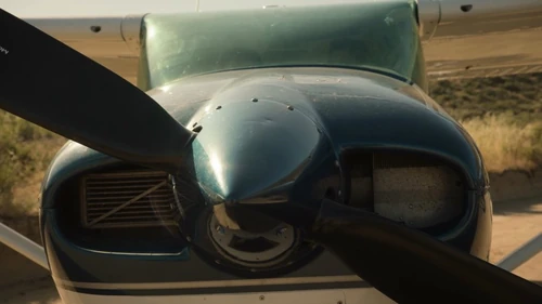 Barry | Internet Movie Plane Database Wiki | Fandom