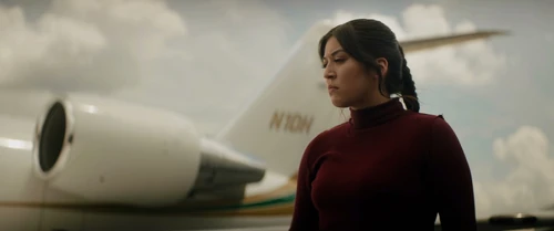 Echo | Internet Movie Plane Database Wiki | Fandom