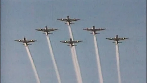 Senna | Internet Movie Plane Database Wiki | Fandom