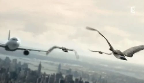 Mayday/Season 10 | Internet Movie Plane Database Wiki | Fandom