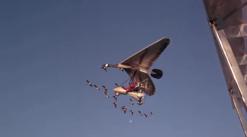 Fly Away Home | Internet Movie Plane Database Wiki | Fandom