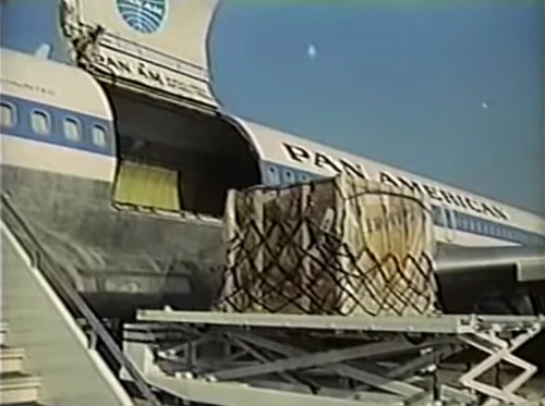 Roberto Carlos em Ritmo de Aventura | Internet Movie Plane Database ...