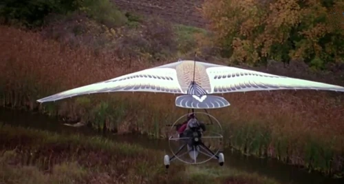 Fly Away Home | Internet Movie Plane Database Wiki | Fandom