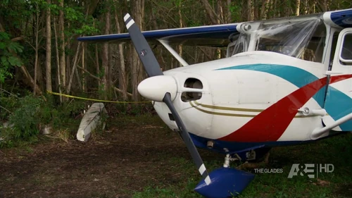 The Glades | Internet Movie Plane Database Wiki | Fandom