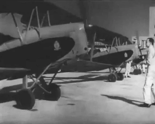 Q Planes | Internet Movie Plane Database Wiki | Fandom