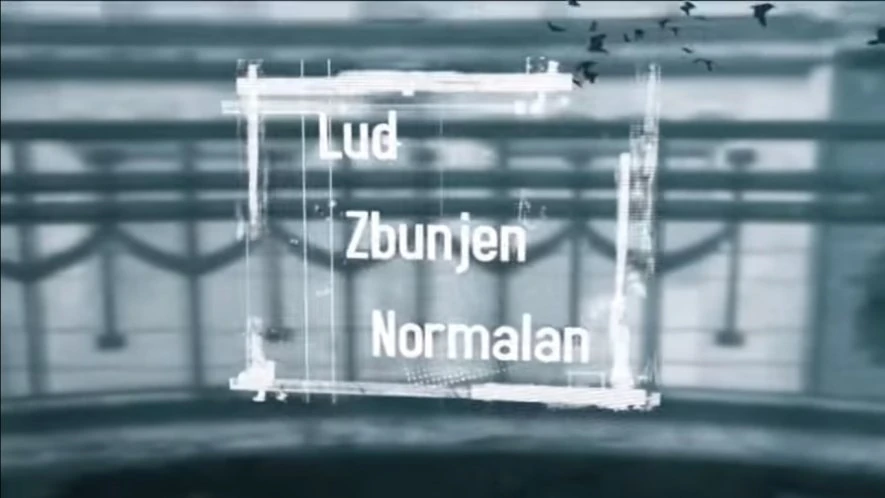 Lud, zbunjen, normalan | Internet Movie Plane Database Wiki | Fandom