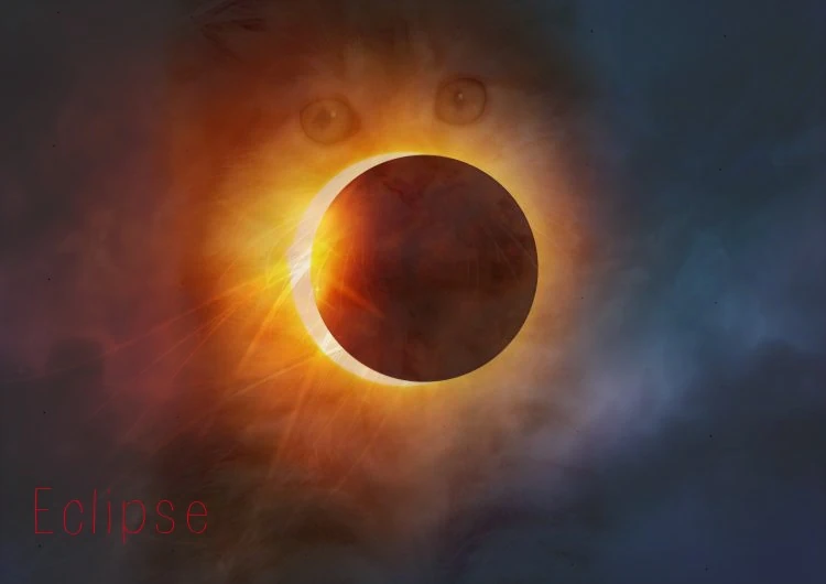 OC: Eclipse | ImperialClan Wikia | Fandom