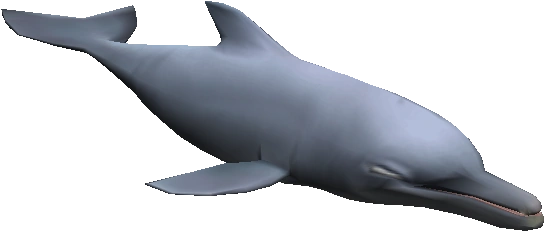 Dolphin | Impossible Creatures Game Wiki | Fandom