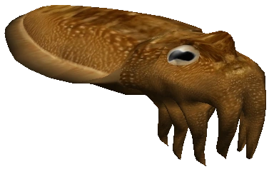 Cuttlefish | Impossible Creatures Game Wiki | Fandom
