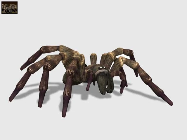 Tarantula | Impossible Creatures Wiki | Fandom