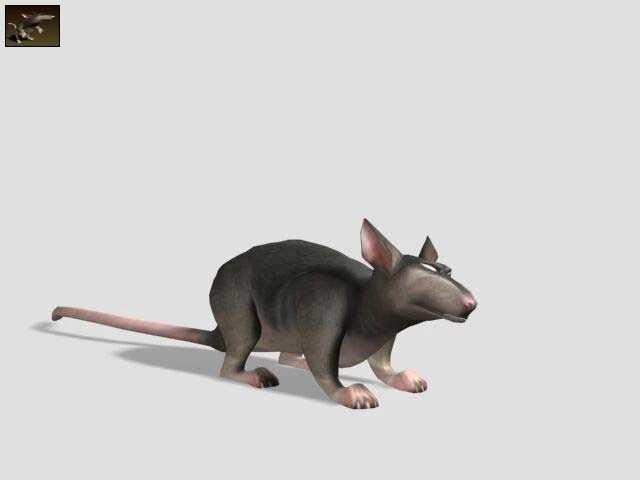 Rat | Impossible Creatures Wiki | Fandom