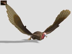 Vulture | Impossible Creatures Wiki | Fandom