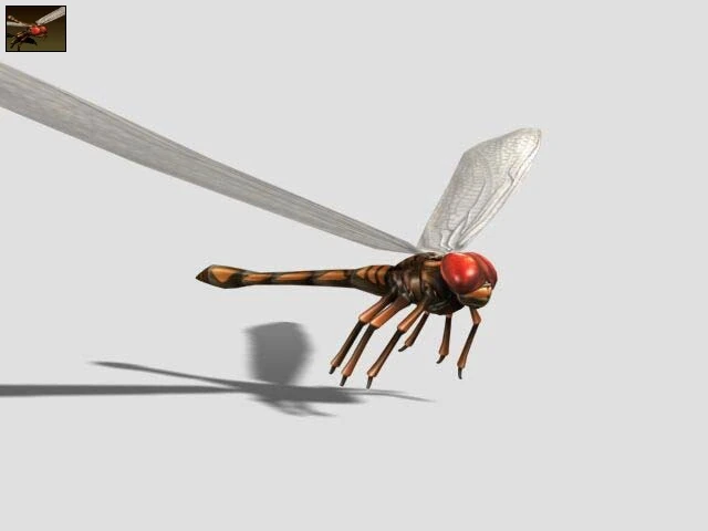 Dragonfly | Impossible Creatures Wiki | Fandom
