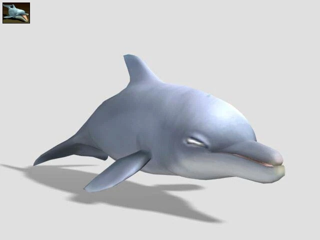 Dolphin | Impossible Creatures Wiki | Fandom