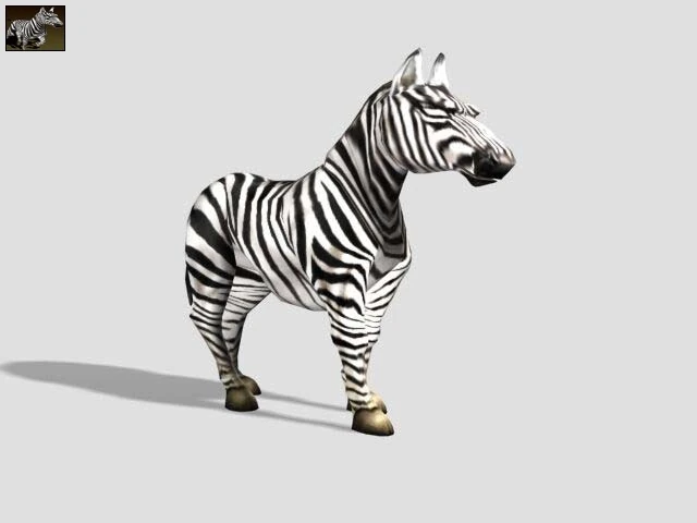 Zebra | Impossible Creatures Wiki | Fandom