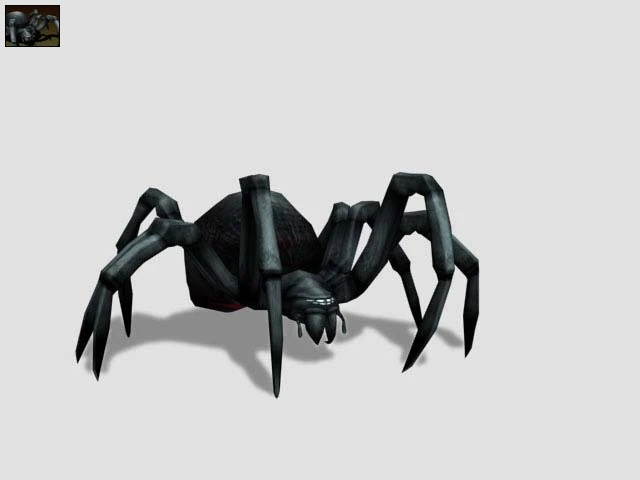 Black Widow | Impossible Creatures Wiki | Fandom