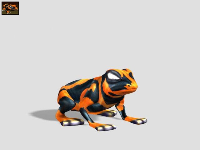 Poison Frog | Impossible Creatures Wiki | Fandom