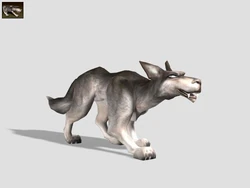 Wolf | Impossible Creatures Wiki | Fandom