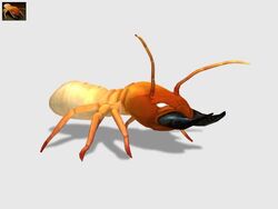 Termite | Impossible Creatures Wiki | Fandom