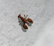 Lobster | Impossible Creatures Wiki | Fandom