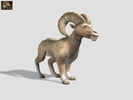 Ram | Impossible Creatures Wiki | Fandom