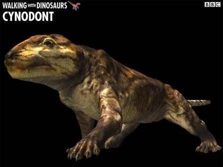 Cynodont | Im Reich der Giganten Wiki | Fandom