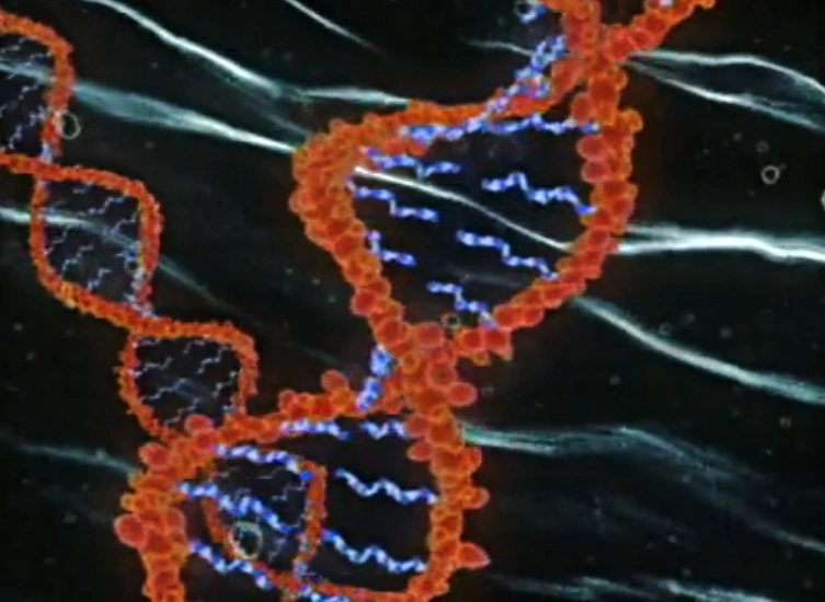 Kekke Genkai | Wikia ImvuShinobiRP | Fandom