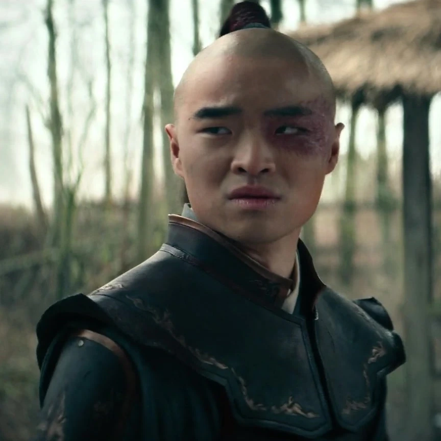 Zuko (Netflix: Avatar) | In a World of Supers Wiki | Fandom