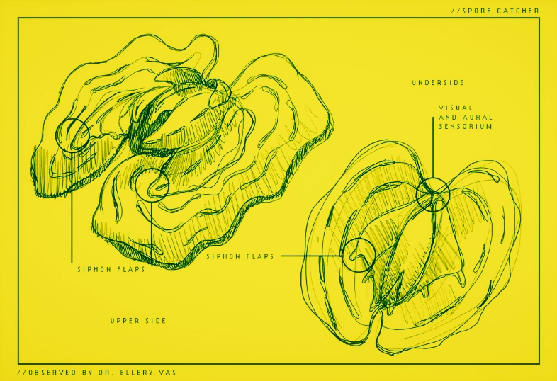 Spore catcher | In Other Waters Wiki | Fandom