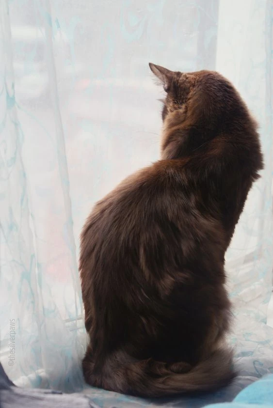 Genevieve | In The Eternal Space Wiki | Fandom