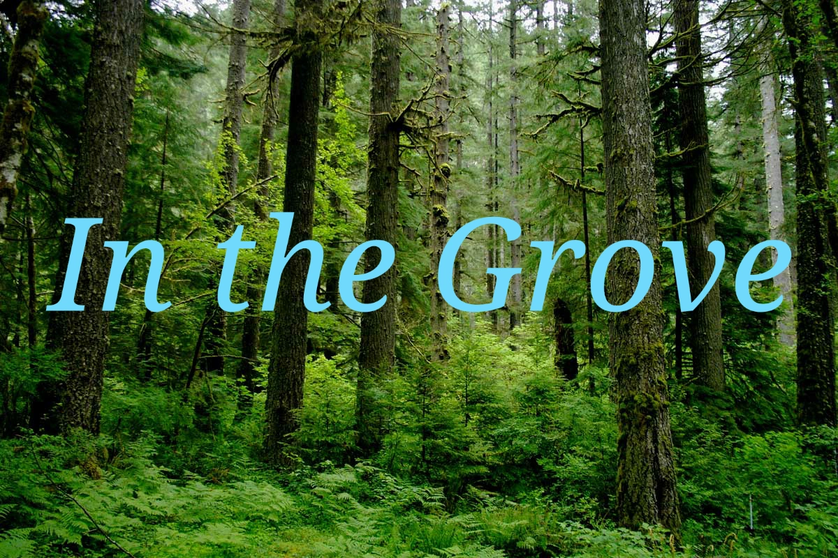 In the Grove | In the Grove Wiki | Fandom