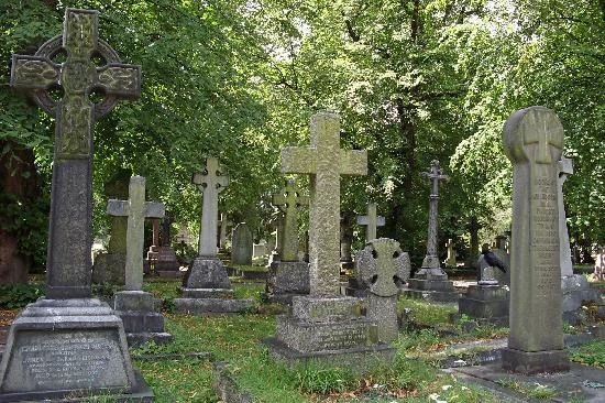 Graveyard Island | In America and Ireland Wiki | Fandom