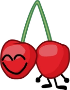 Cherries | Inanimate Objects Camp Wiki | Fandom