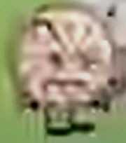 Candy | Inanimate Objects Remastered Wiki | Fandom