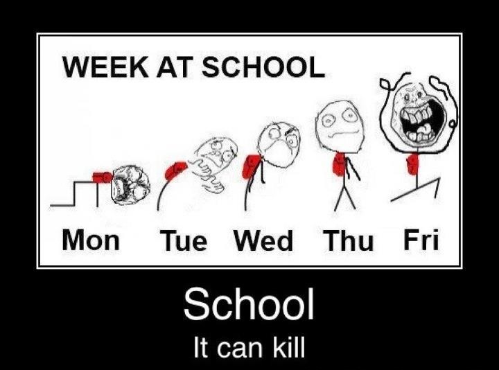 User blog:Chobi.Rabbit.Starfall/Send me Memes | Inanimate Insanity Wiki ...