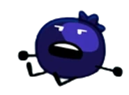 Blueberry/Gallery | Inanimate Insanity Wiki | Fandom