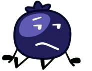 Blueberry/Gallery | Inanimate Insanity Wiki | Fandom