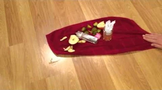 Inanimate Battle | Inanimate Insanity Wiki | Fandom