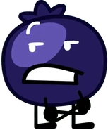 Blueberry/Gallery | Inanimate Insanity Wiki | Fandom