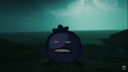 Blueberry/Gallery | Inanimate Insanity Wiki | Fandom