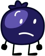 Blueberry/Gallery | Inanimate Insanity Wiki | Fandom