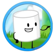 Voting Icons | Inanimate Insanity Wiki | Fandom