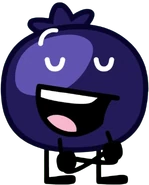 Blueberry/Gallery | Inanimate Insanity Wiki | Fandom