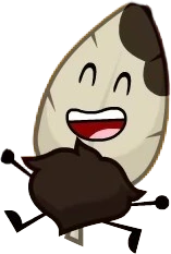 List of Minor Fan's Fantastic Features Characters | Inanimate Insanity ...