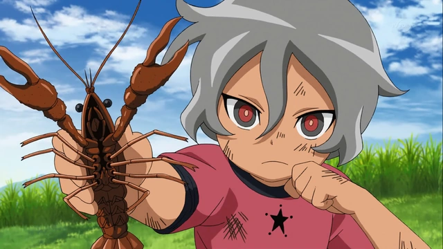 Elliot Ember/Miscelánea | Inazuma Eleven: The Scales of Ares Wiki | Fandom