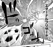 Eternal Blizzard | Inazuma Eleven Wiki | Fandom