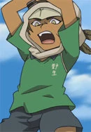 Steve Eagle | Inazuma Eleven Wiki | Fandom