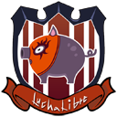 Mask Warriors | Inazuma Eleven Wiki | Fandom