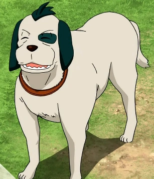 Spotter | Wiki Inazuma Eleven | Fandom